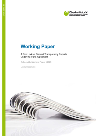 A First Look at Biennial Transparency Reports | oeko.de