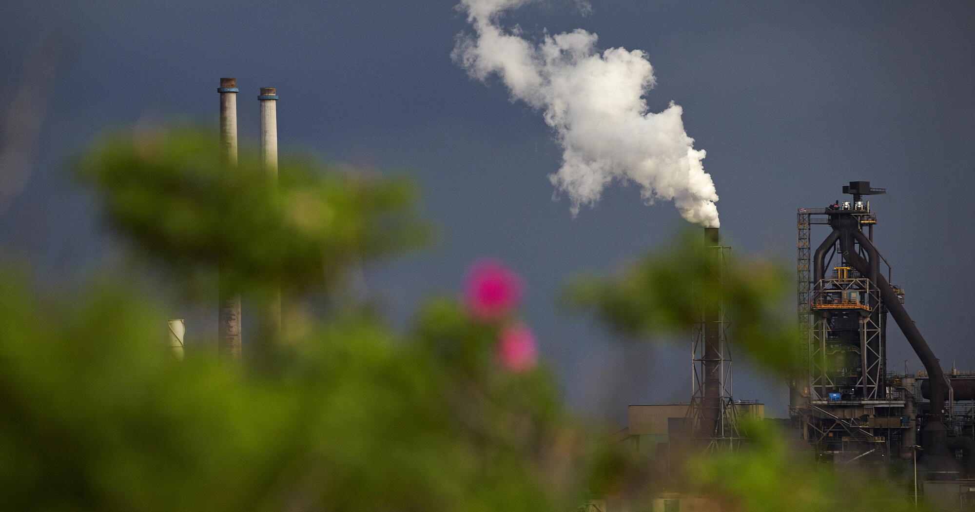 New study highlights misalignment of gas infrastructure planning and ...